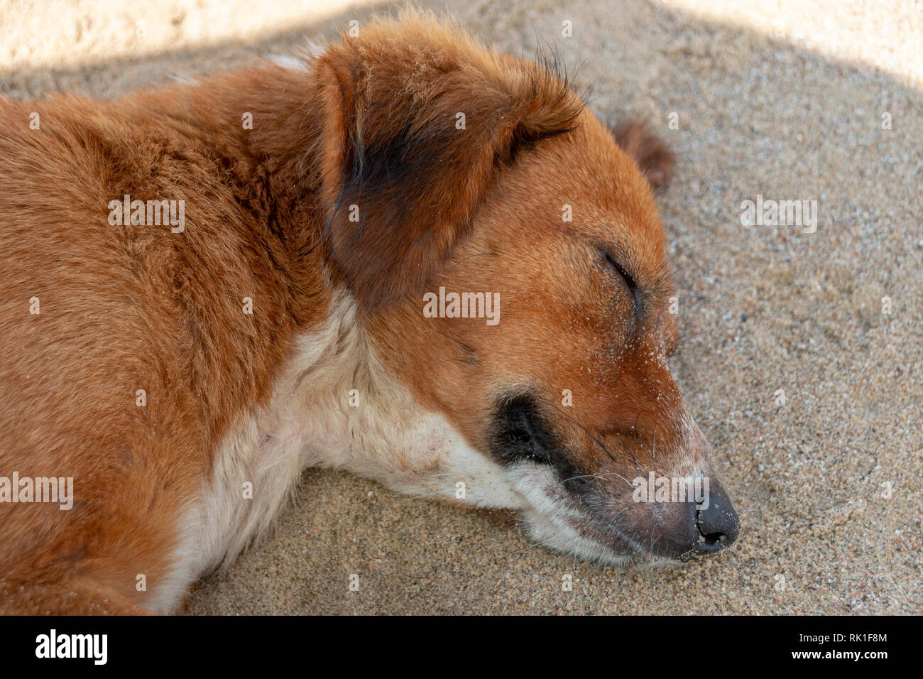 Sleeping patterns hi-res stock photography and images - Alamy