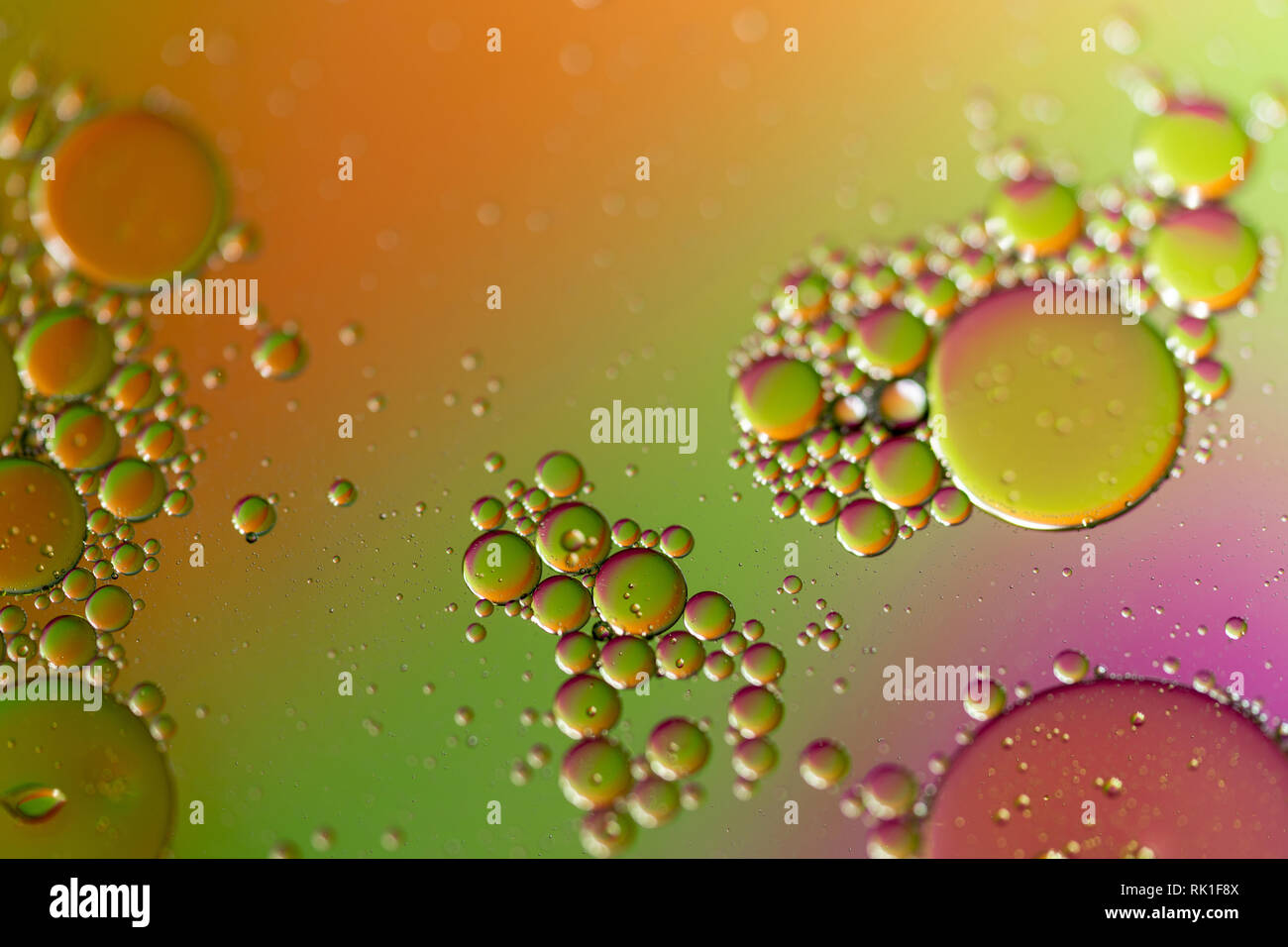 A closeup of oil droplets on a water surface with a colored background ...
