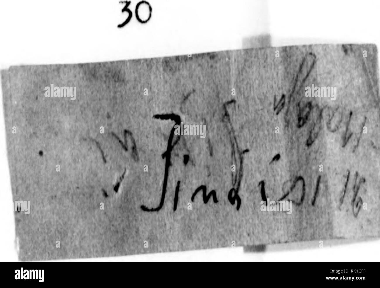 David platz Black and White Stock Photos & Images - Alamy