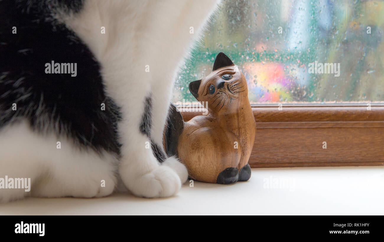 Cat stand on the window shelf Stock Photo - Alamy