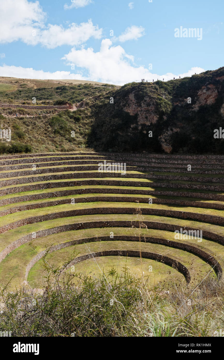 Agricultural terraces of Incas Stock Photo - Alamy