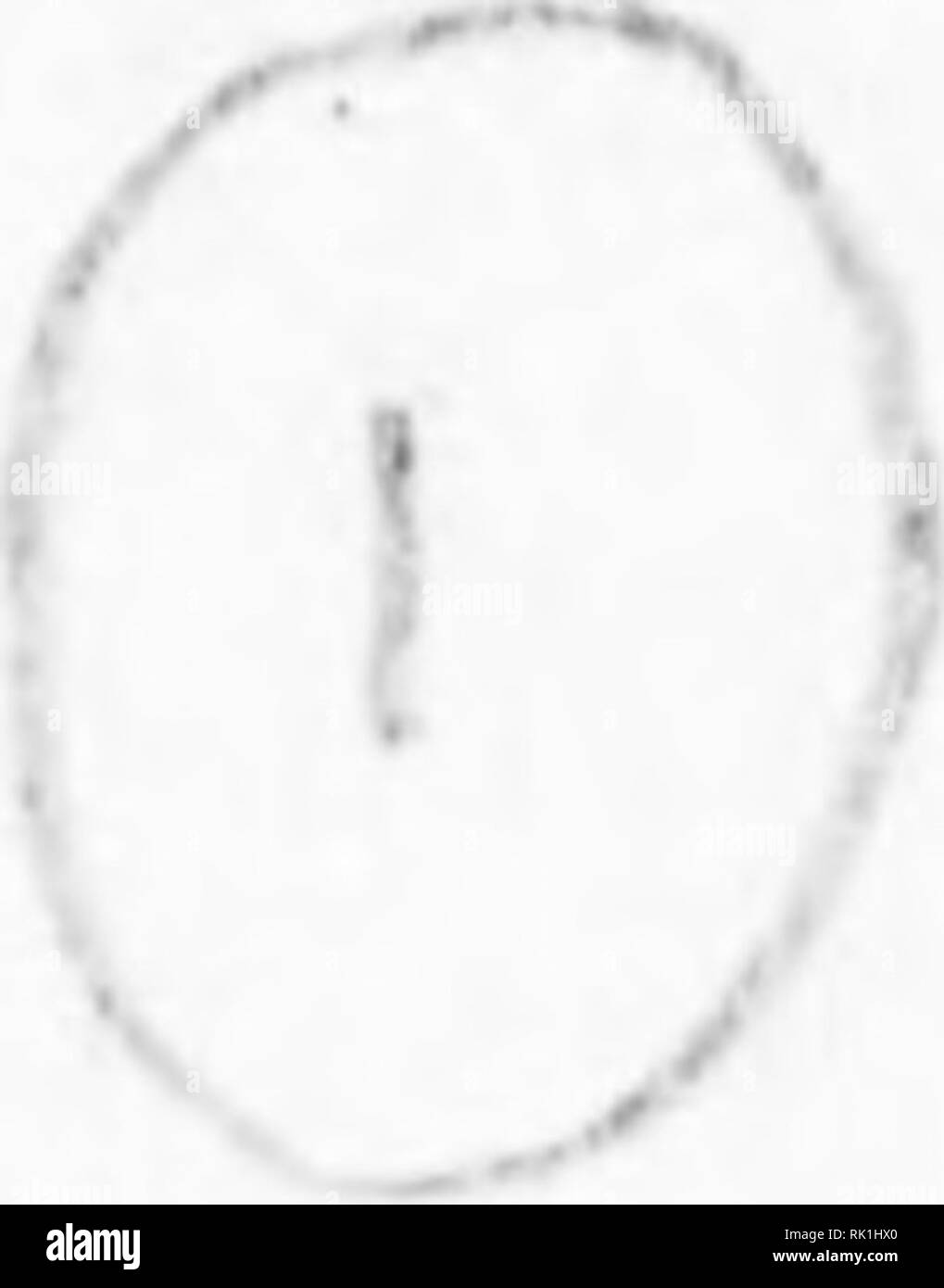 . Arthur and Fritz Kahn Collection 1889-1932. Kahn, Fritz 1888-1968 ...