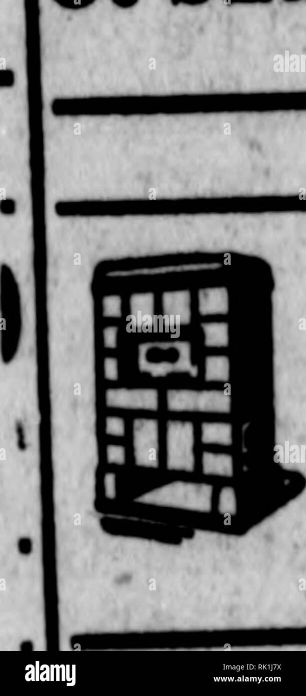 Arthur nebe hi-res stock photography and images - Alamy