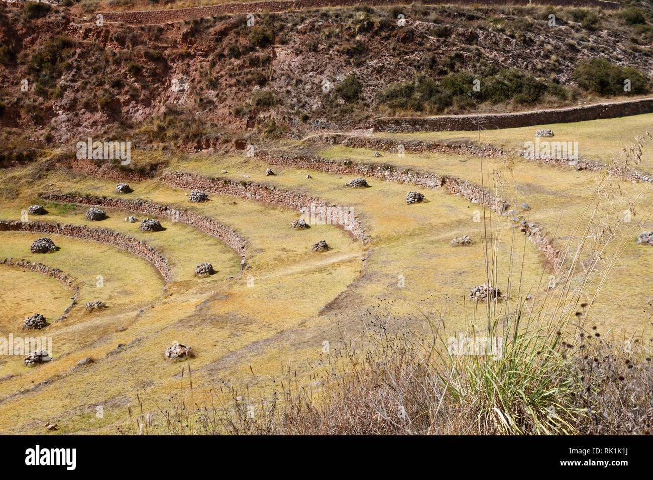 Agricultural terraces of Incas Stock Photo - Alamy