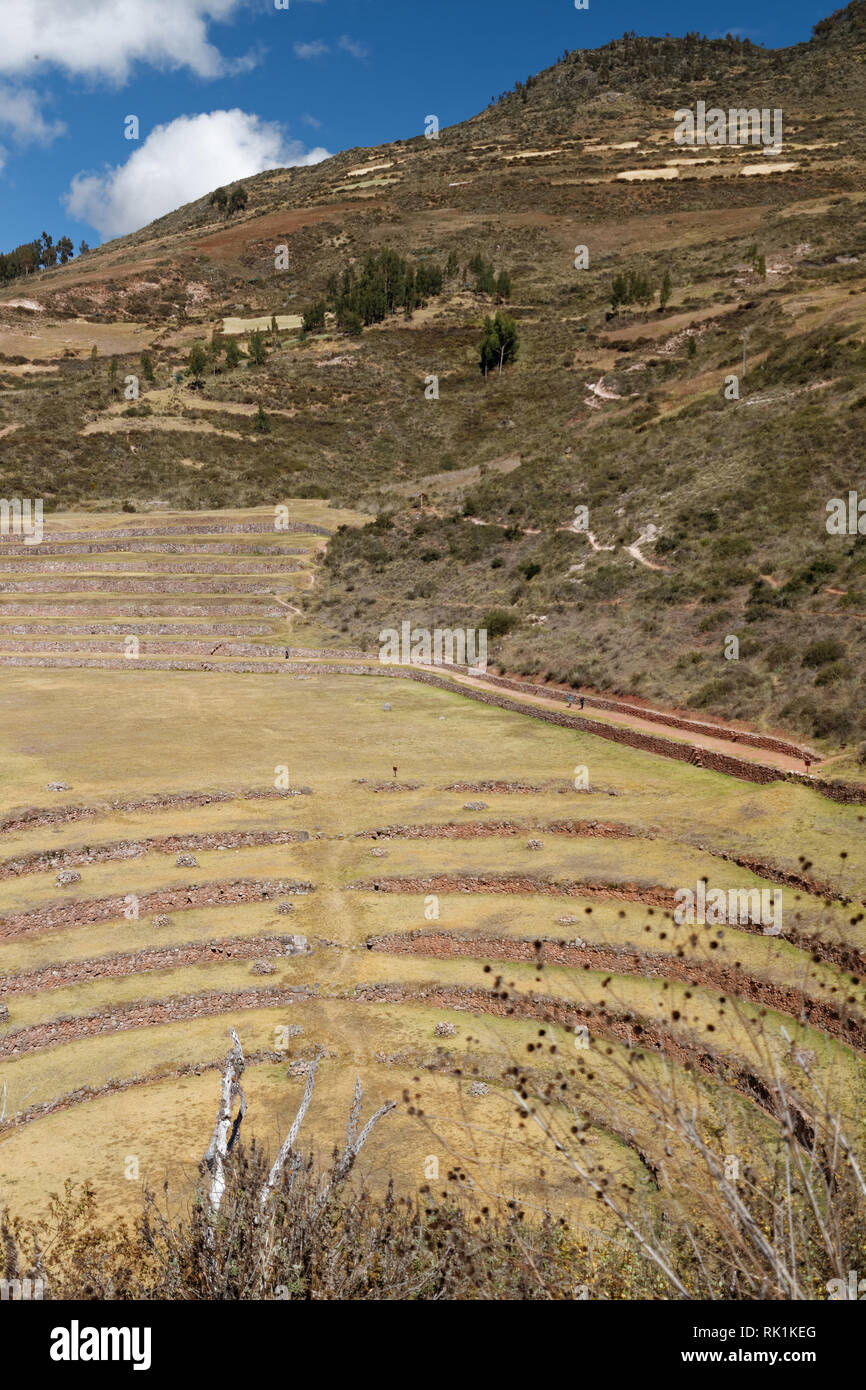 Agricultural terraces of Incas Stock Photo - Alamy