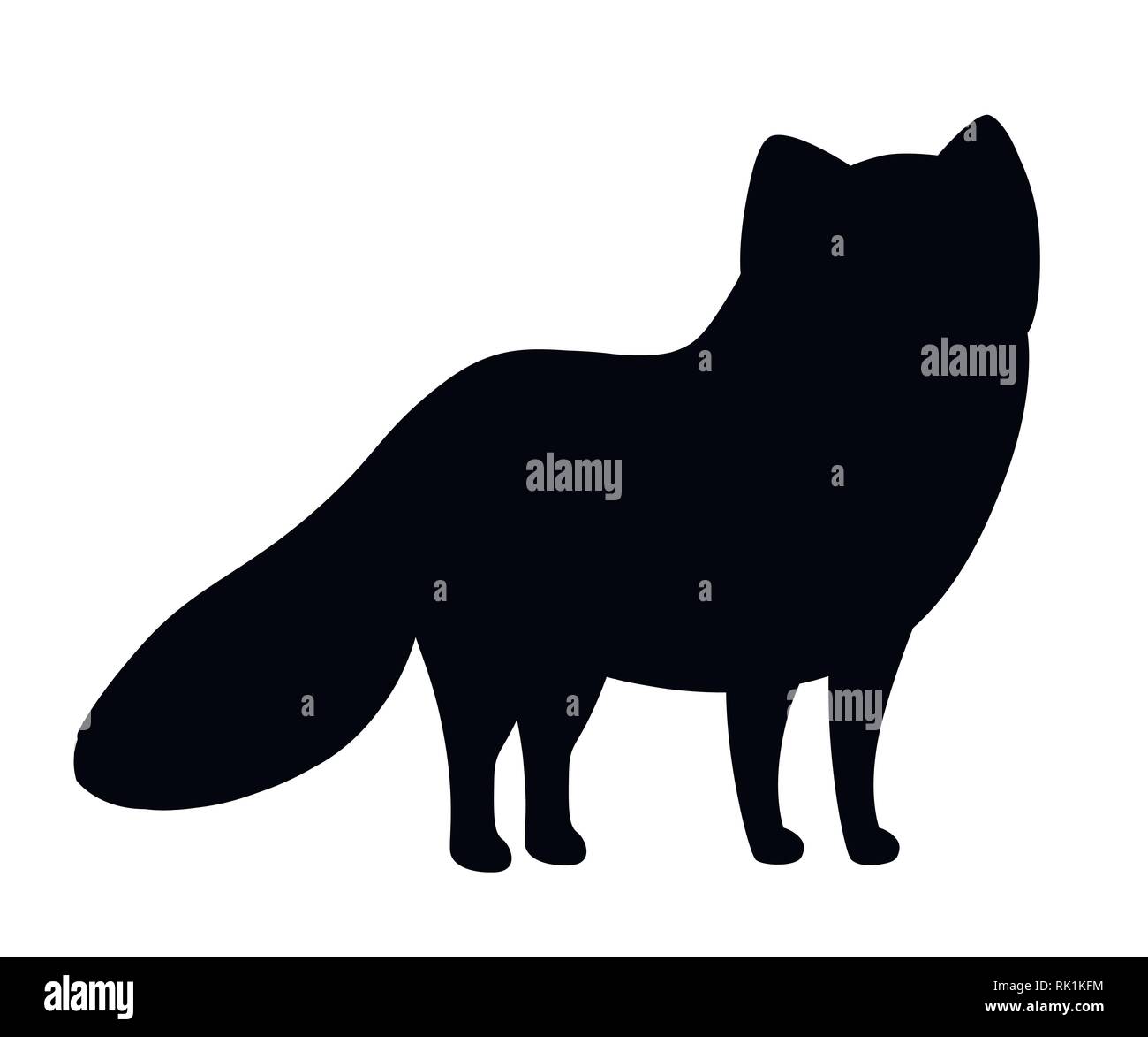 Arctic fox Cut Out Stock Images & Pictures - Alamy