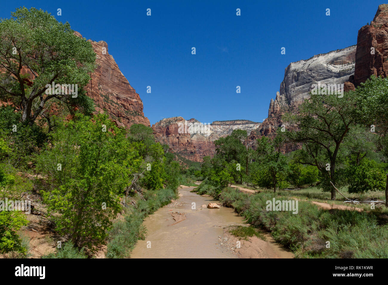 View of the Virgin River up Zion Canyon close to Zion Lodge, Zion ...