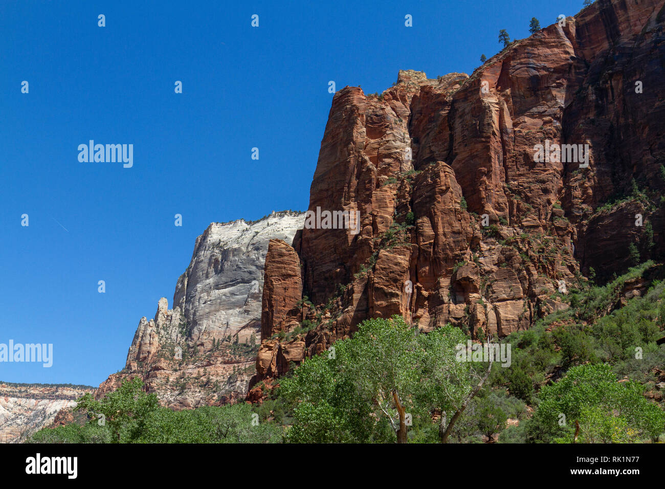 The cliff above Zion Lodge, Zion National Park, Utah, United States ...