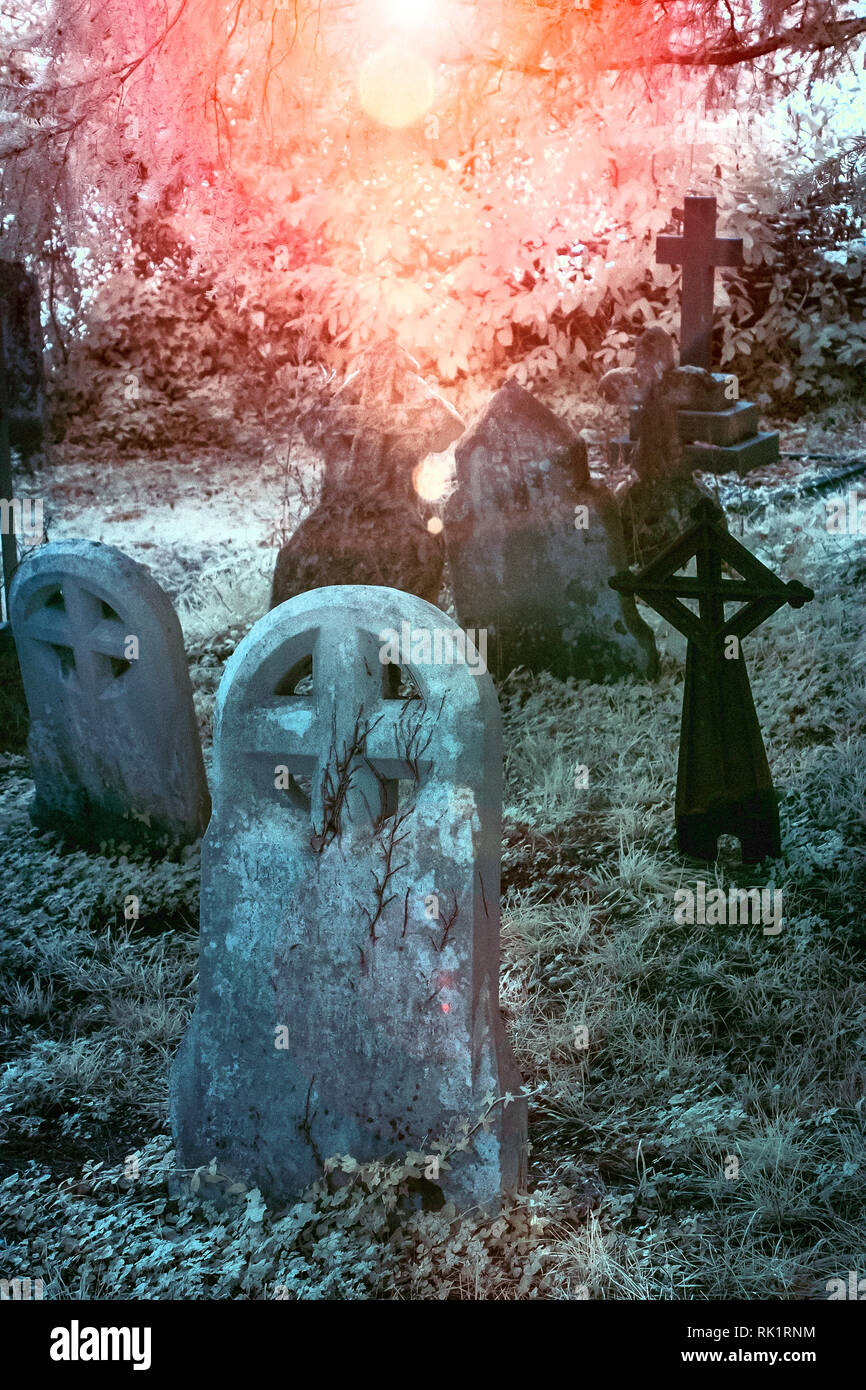 Scary Graveyard High Resolution Stock Photography and Images - Alamy
