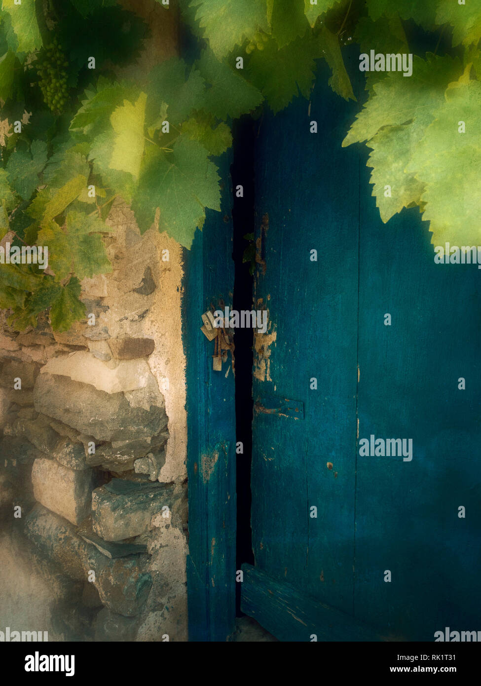 Vine covered door hi-res stock photography and images - Alamy