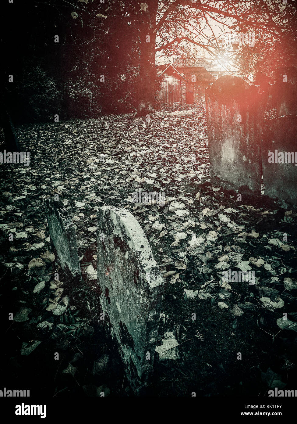 Scary Graveyard Stock Photos & Scary Graveyard Stock Images - Alamy