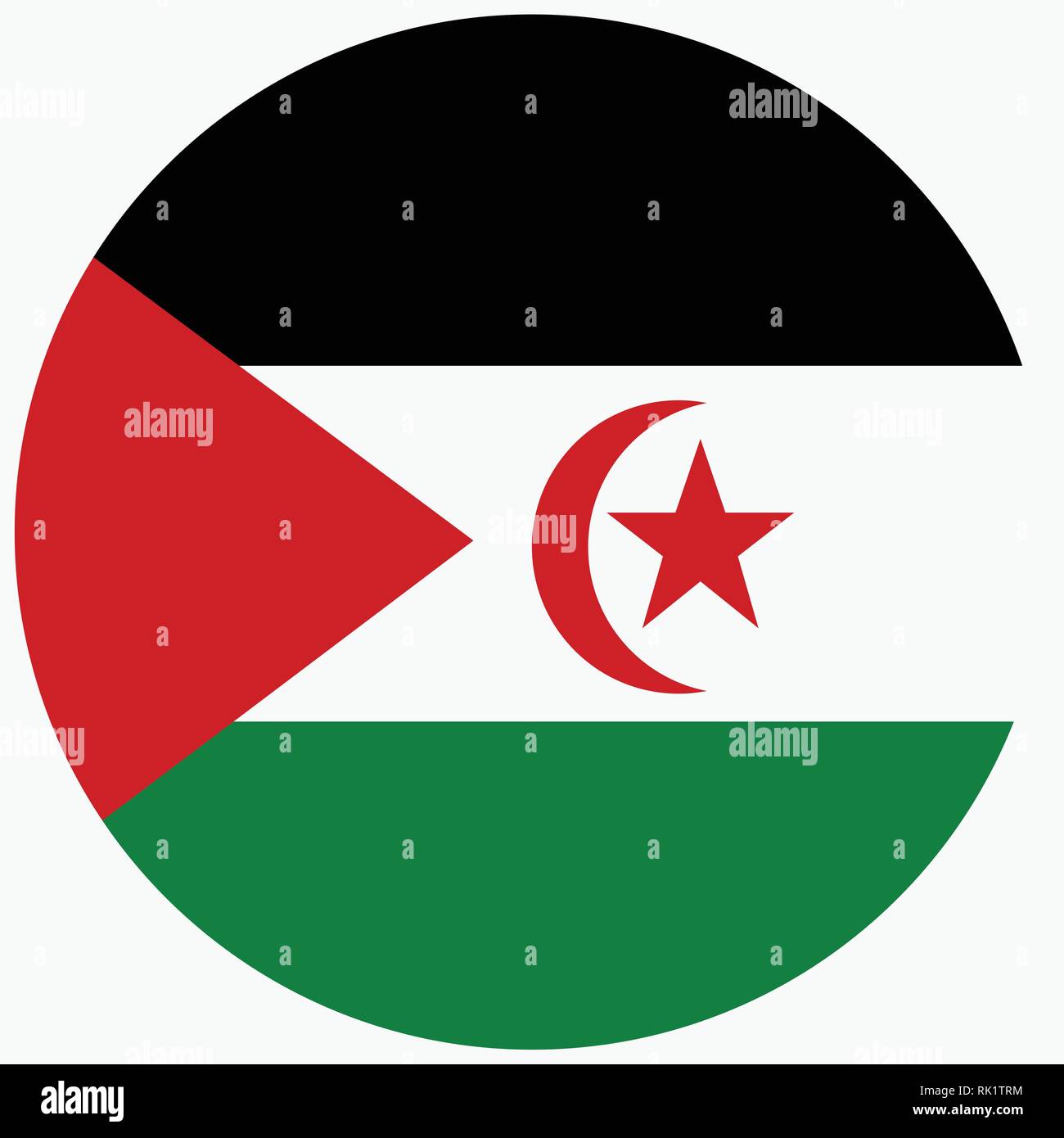 Vector illustration Sahrawi flag icon isolated on white background ...