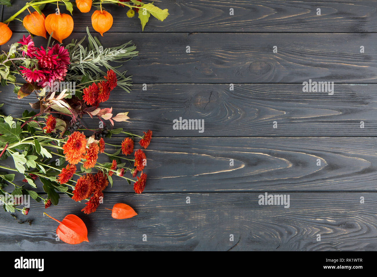 Red flowers scattered hi-res stock photography and images - Alamy