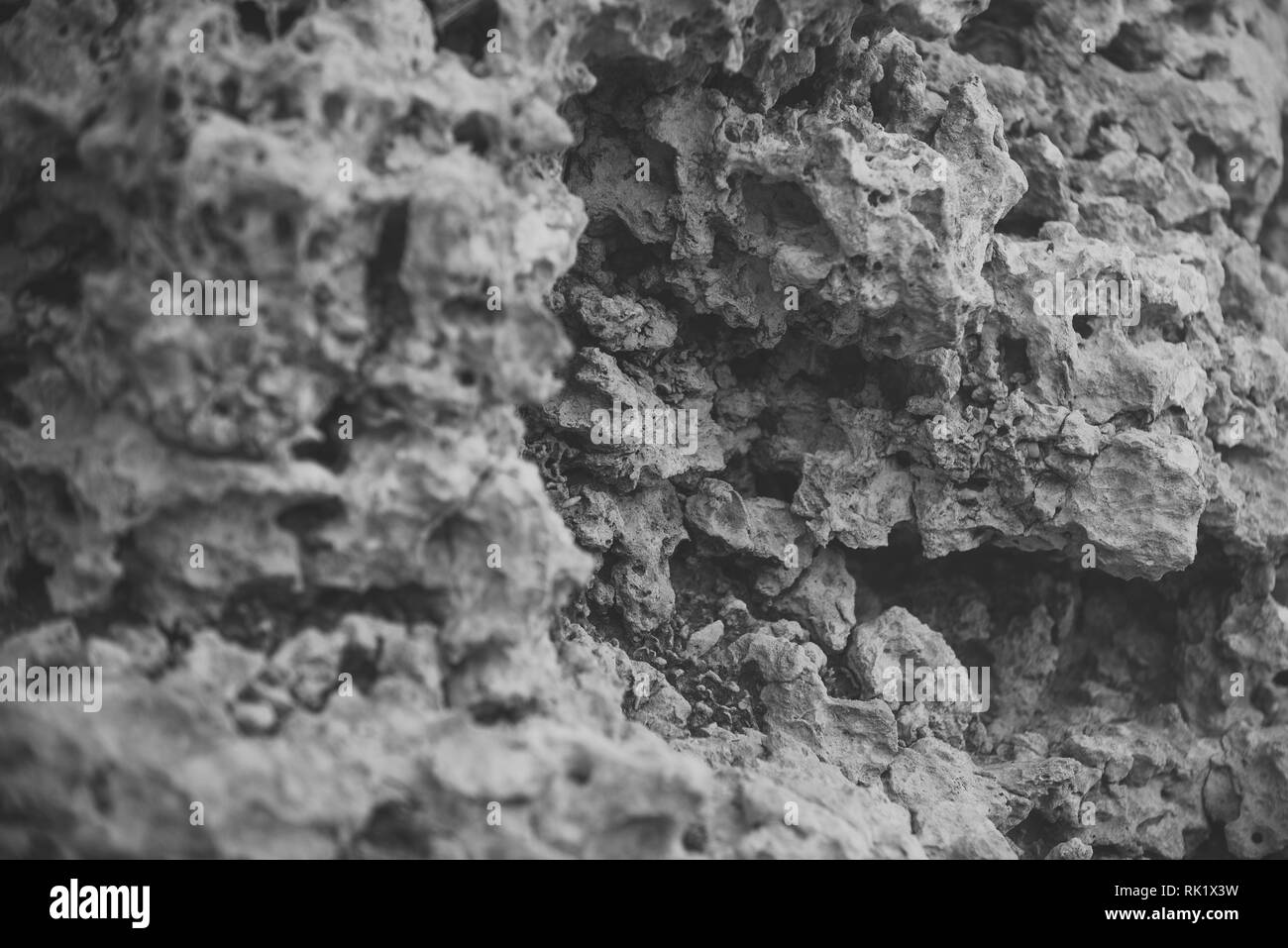 Beautiful rock texture, stone with holes. Grey petrified coral reefs ...