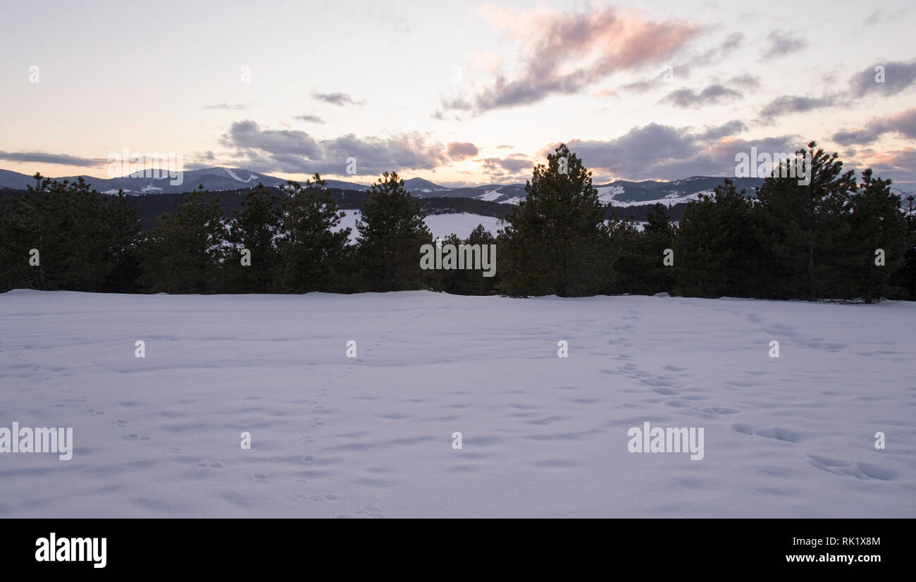 Enjoy the winter evening sunset hi-res stock photography and images - Alamy