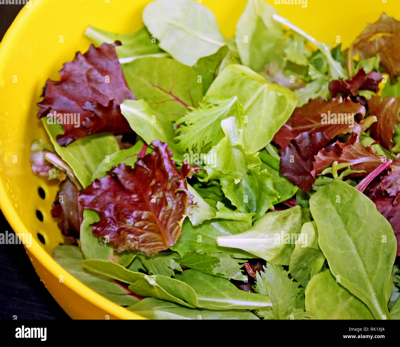 Lettuce mix hi-res stock photography and images - Alamy