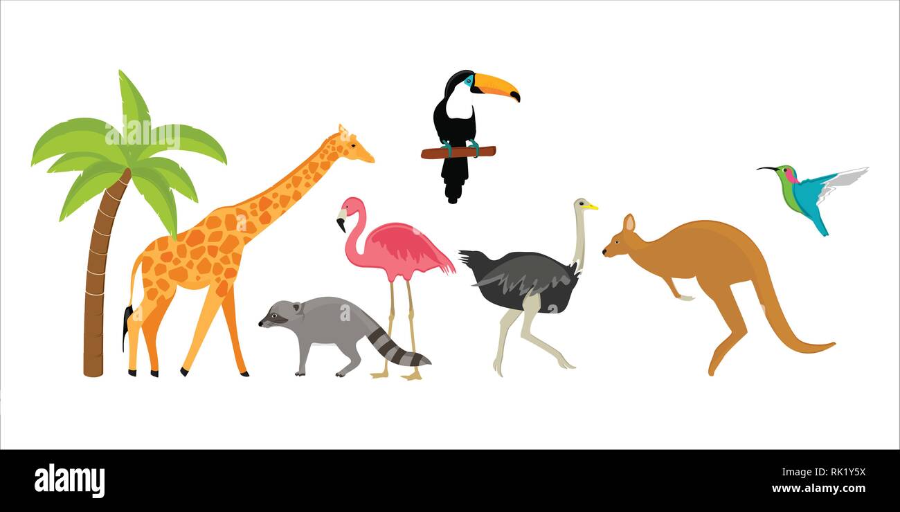 Animals, zoo vector background Stock Vector Image & Art - Alamy