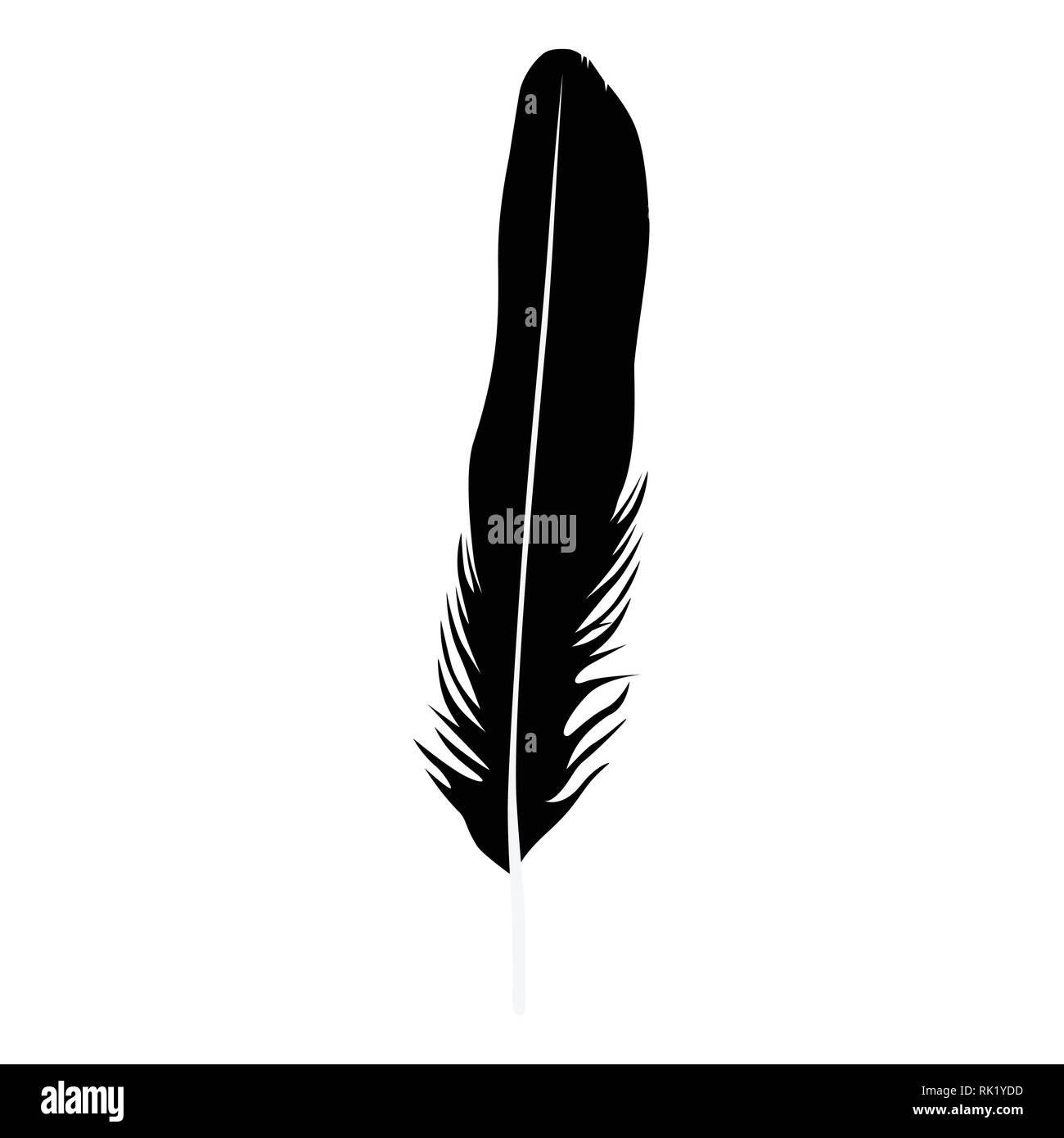 Vector illustration detailed feather silhouette isolated on white Stock ...