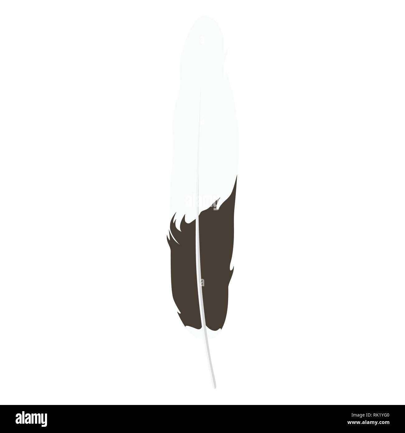 Detailed feather texture Cut Out Stock Images & Pictures - Alamy