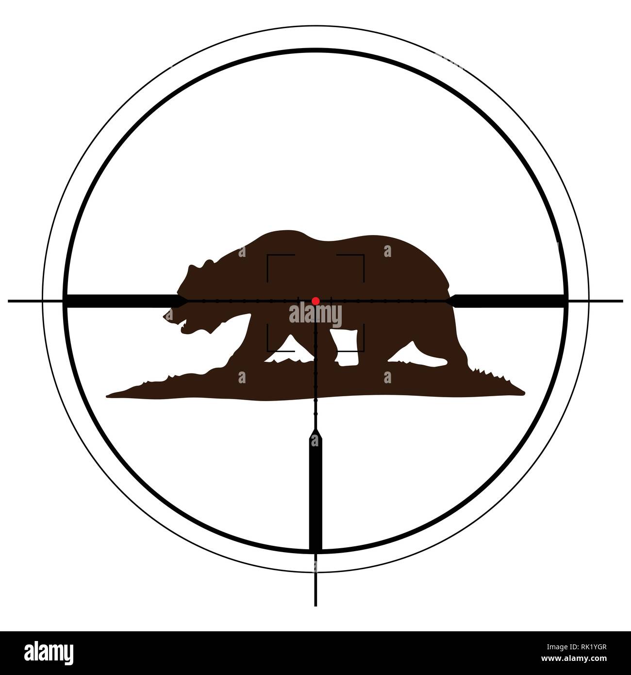 Bear Shooting Targets
