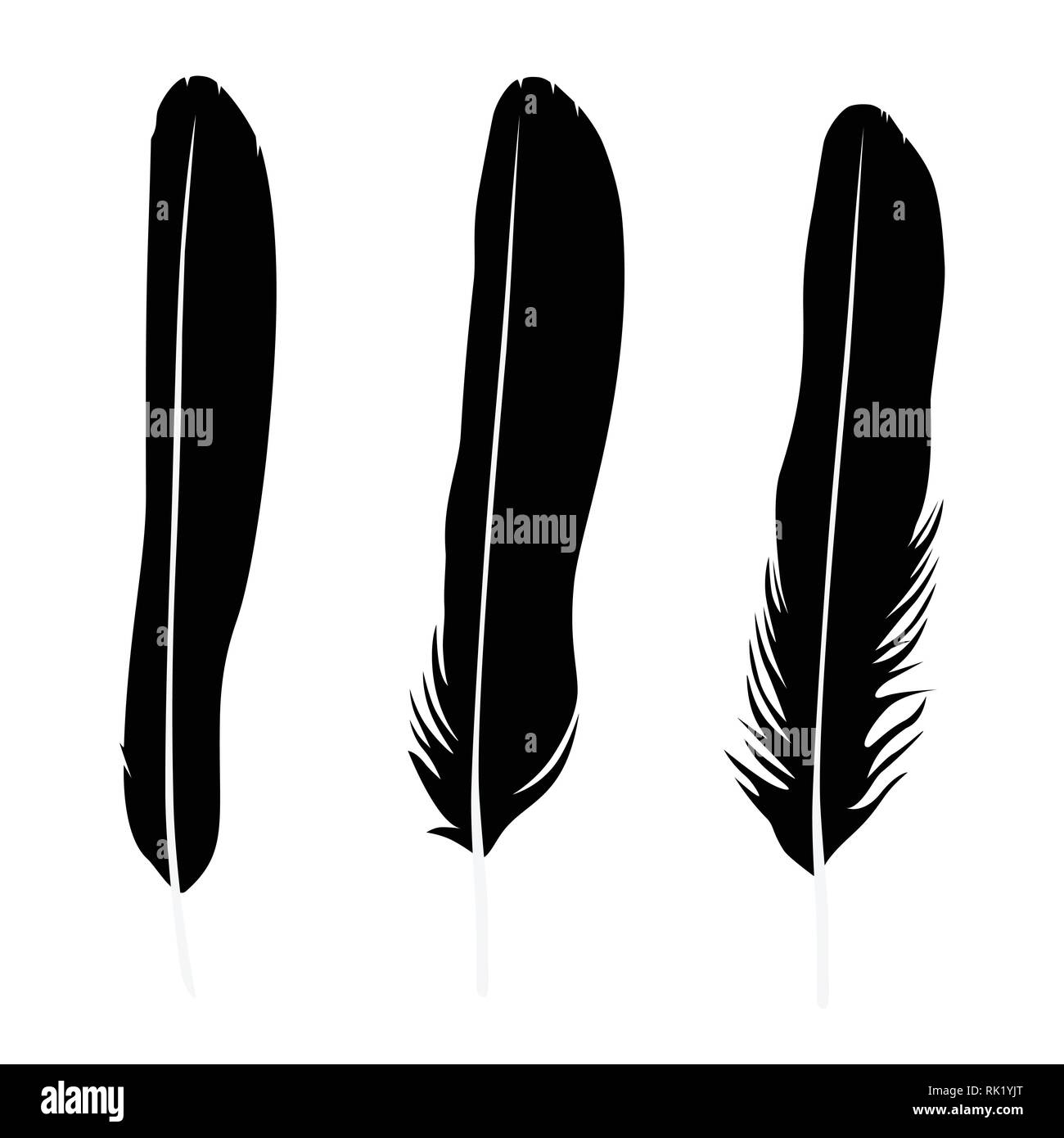 Vector illustration detailed feather silhouette collection, set Stock ...