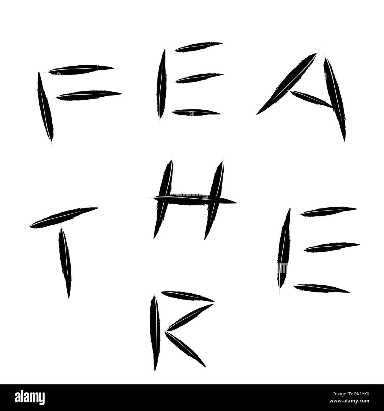 Vector illustration detailed feather silhouette isolated on white with ...