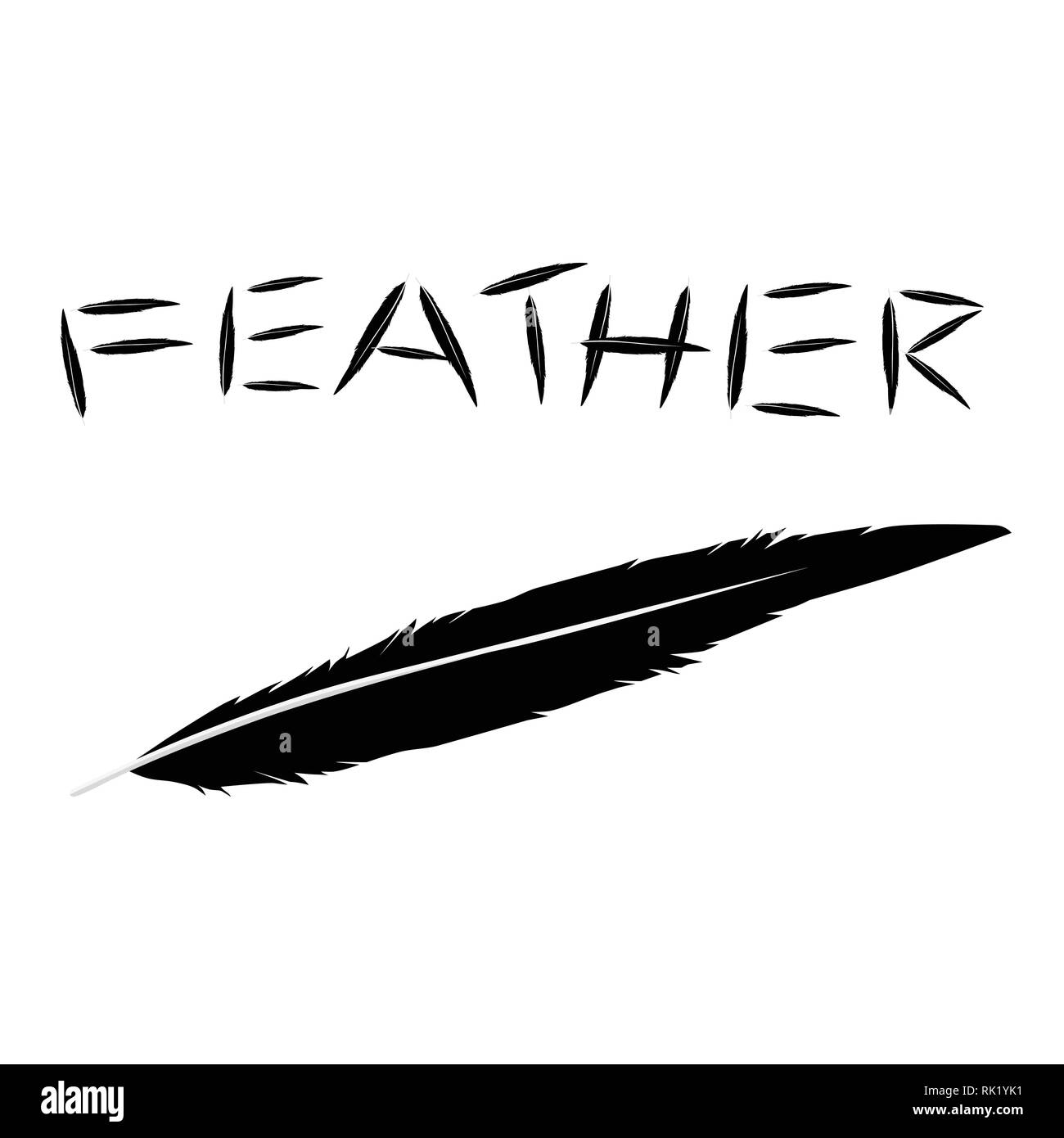 Vector illustration detailed feather silhouette isolated on white with ...