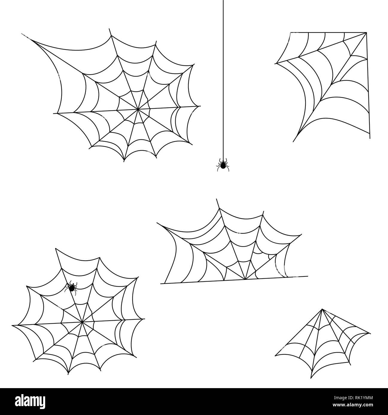 Spider Web Border Vector