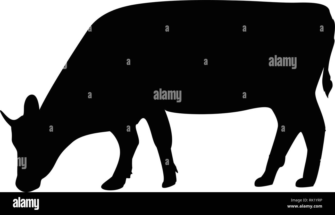 Vector silhouette of the cow. Farm animal on the grass of the pasture Stock Vector Image & Art ...