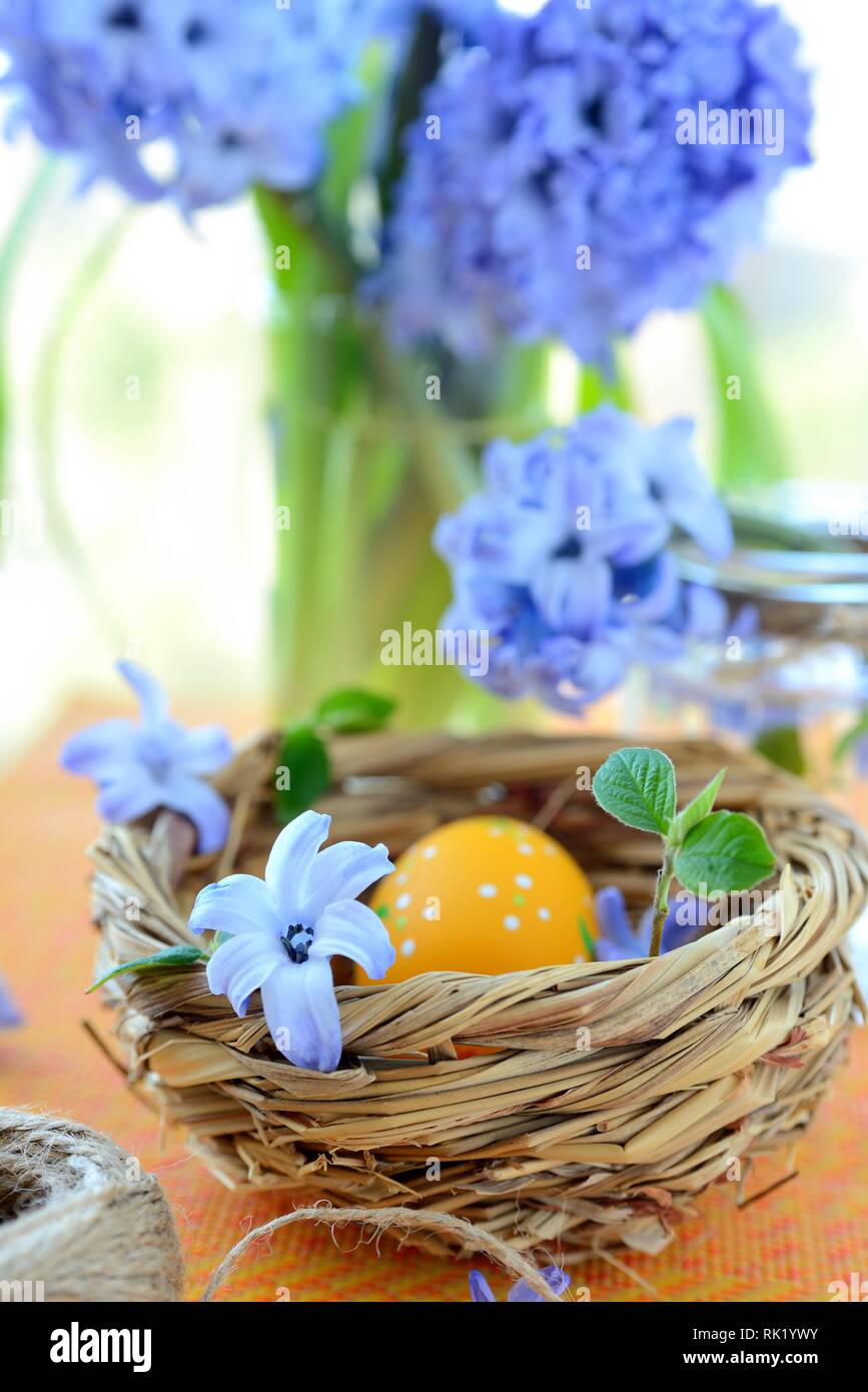 Traditional nest hi-res stock photography and images - Alamy