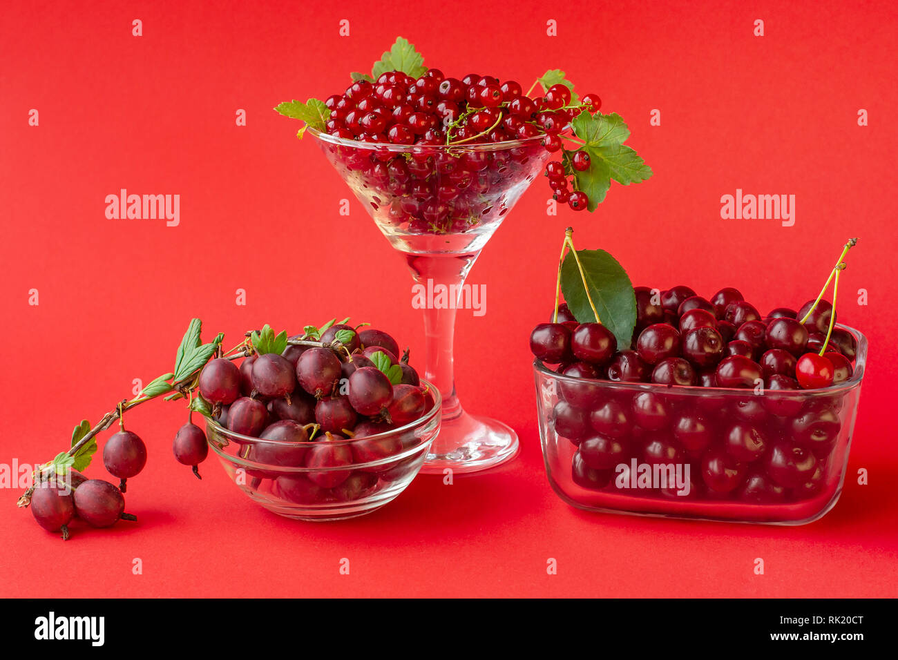 Gooseberry plant container hi-res stock photography and images - Alamy