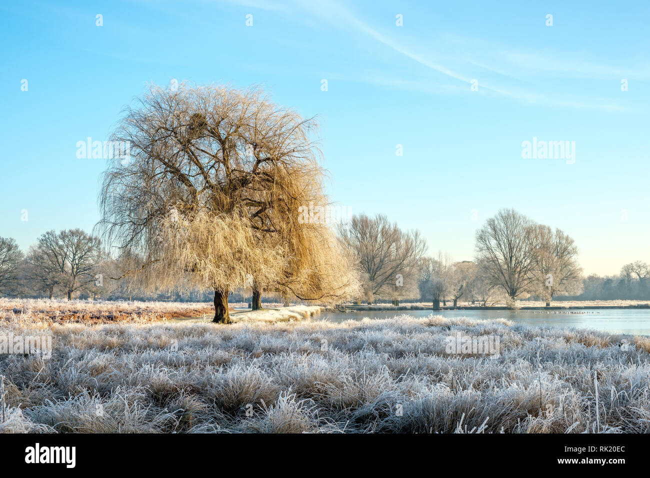 Leg of Mutton Pond Bushy Park Hampton London England Stock Photo - Alamy
