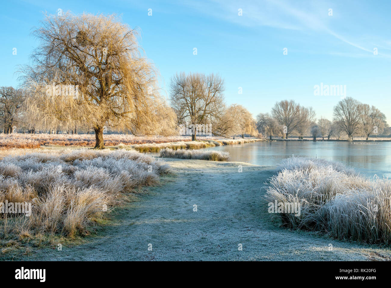 Leg of Mutton Pond Bushy Park Hampton London England Stock Photo - Alamy
