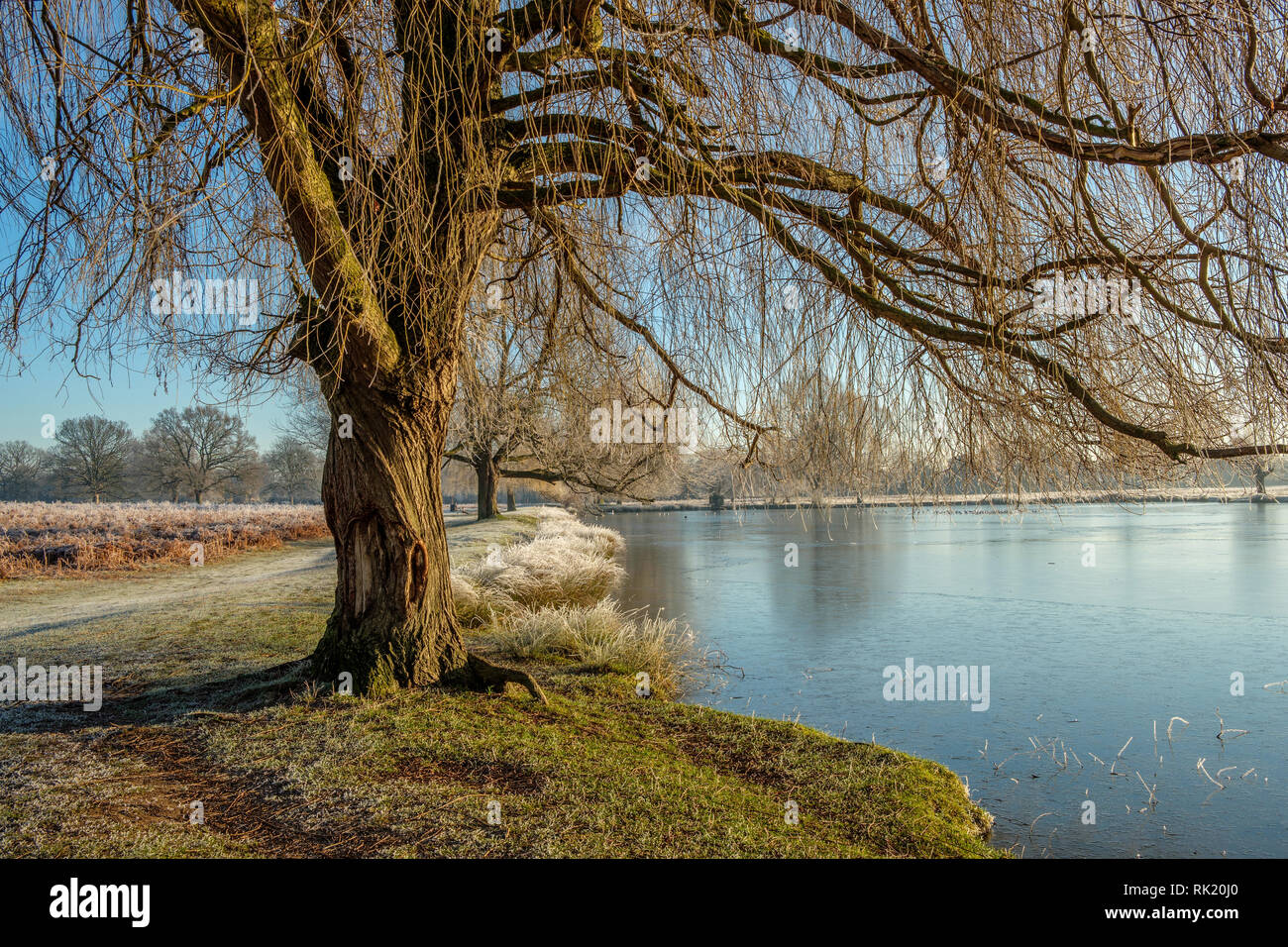 Leg of Mutton Pond Bushy Park Hampton London England Stock Photo - Alamy