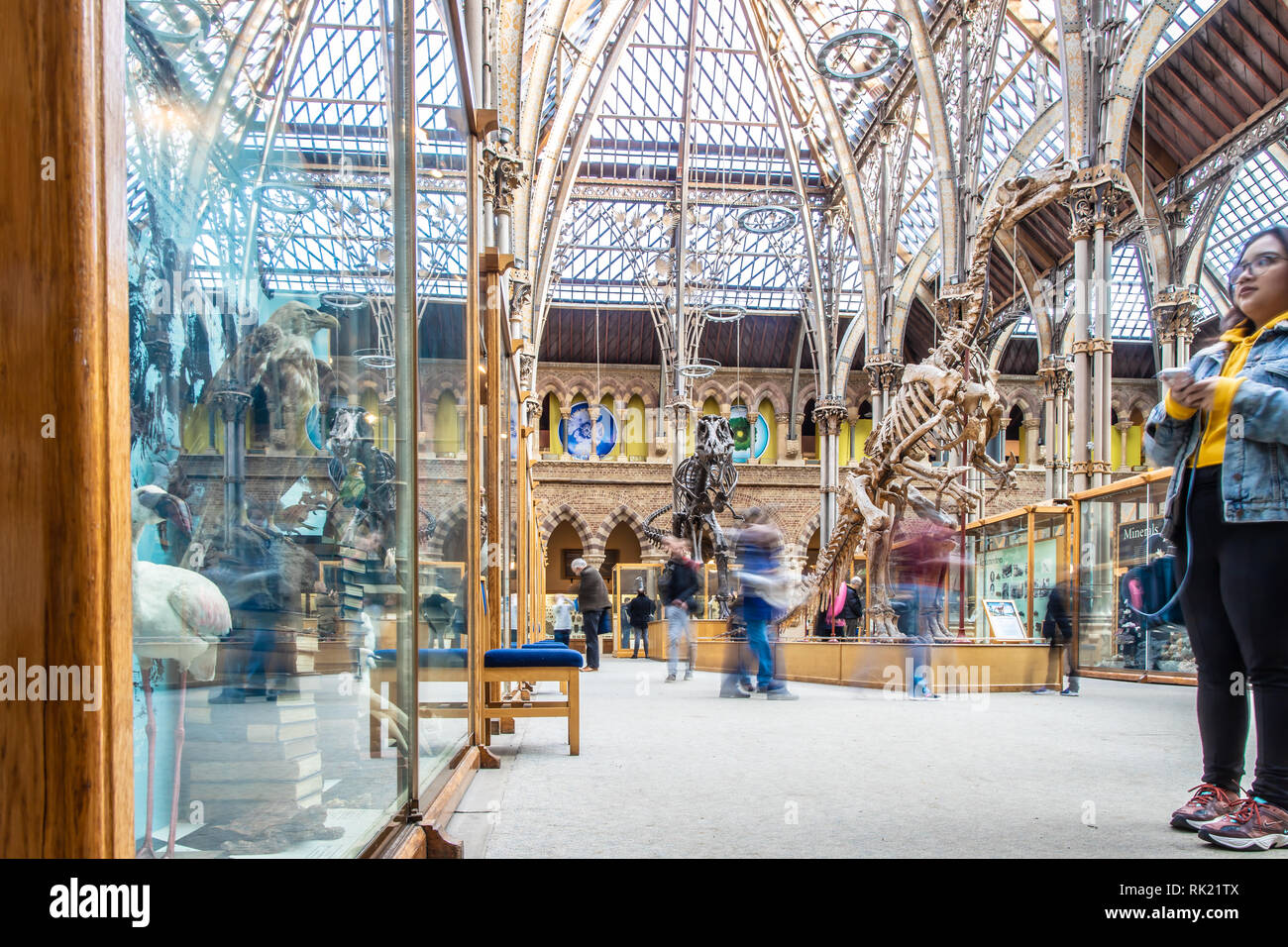 Natural history museum of Oxford Stock Photo - Alamy