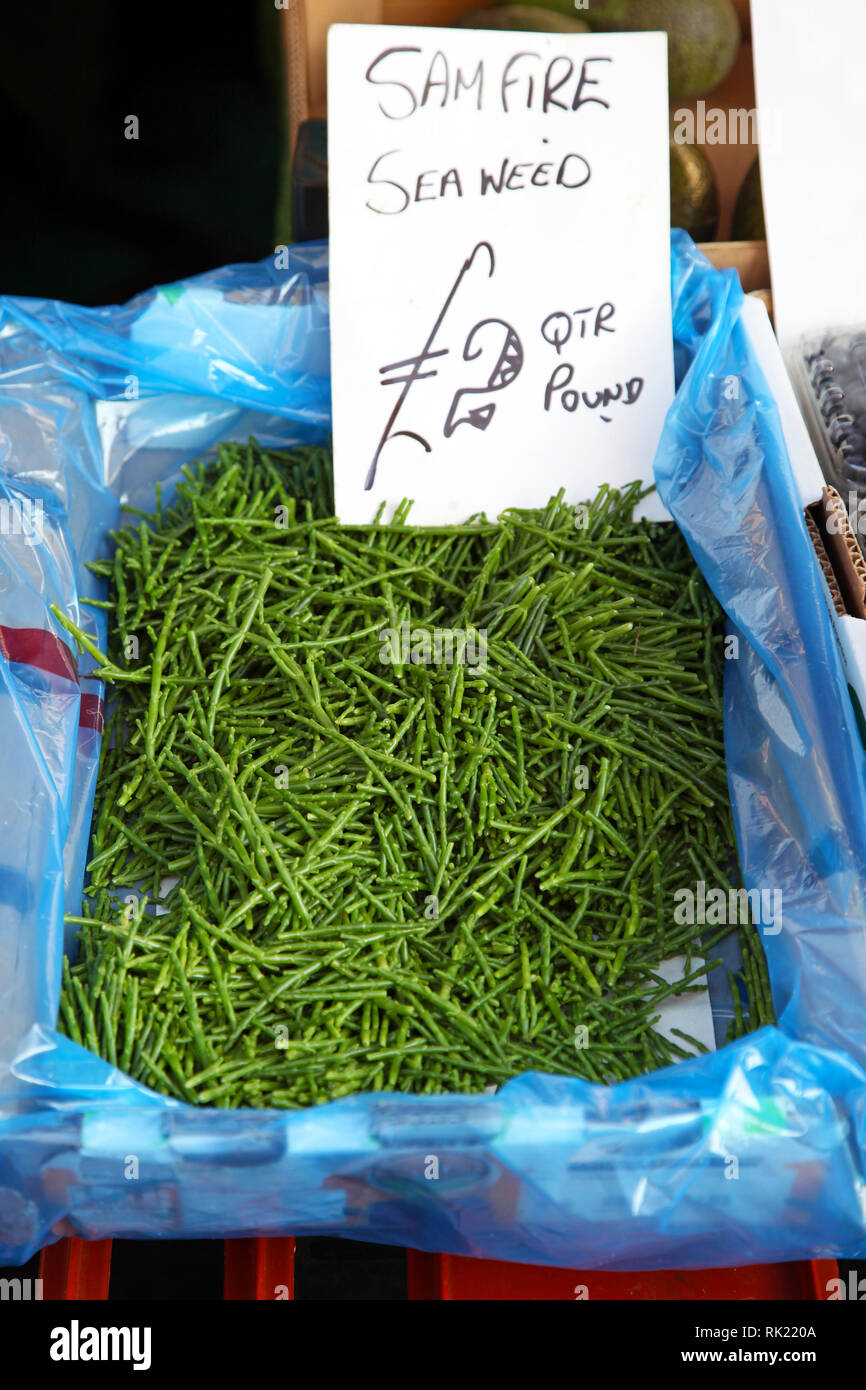 Bunch of sam fire seaweed in crate Stock Photo - Alamy