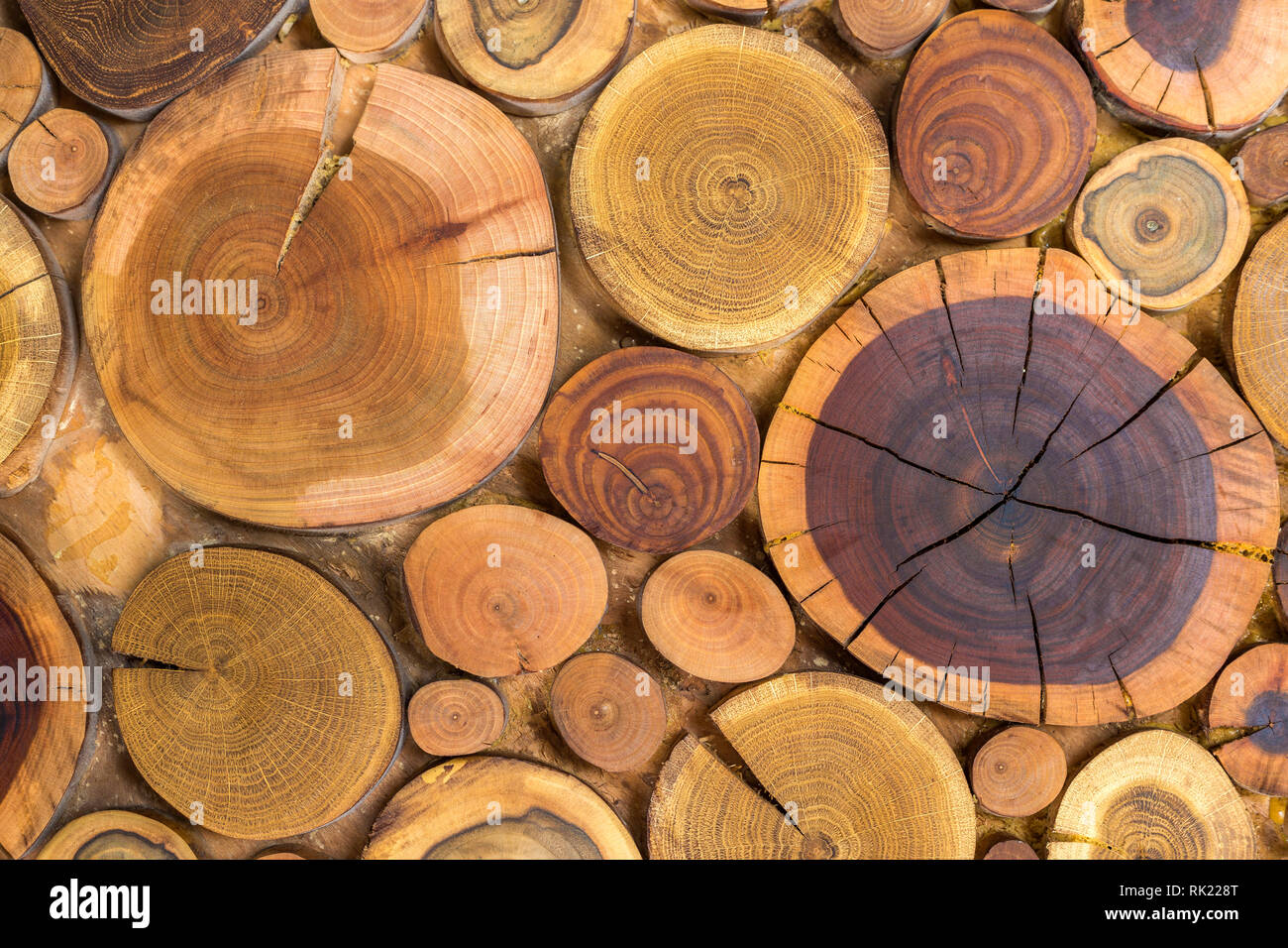 Round wooden unpainted solid natural ecological soft colored brown and ...