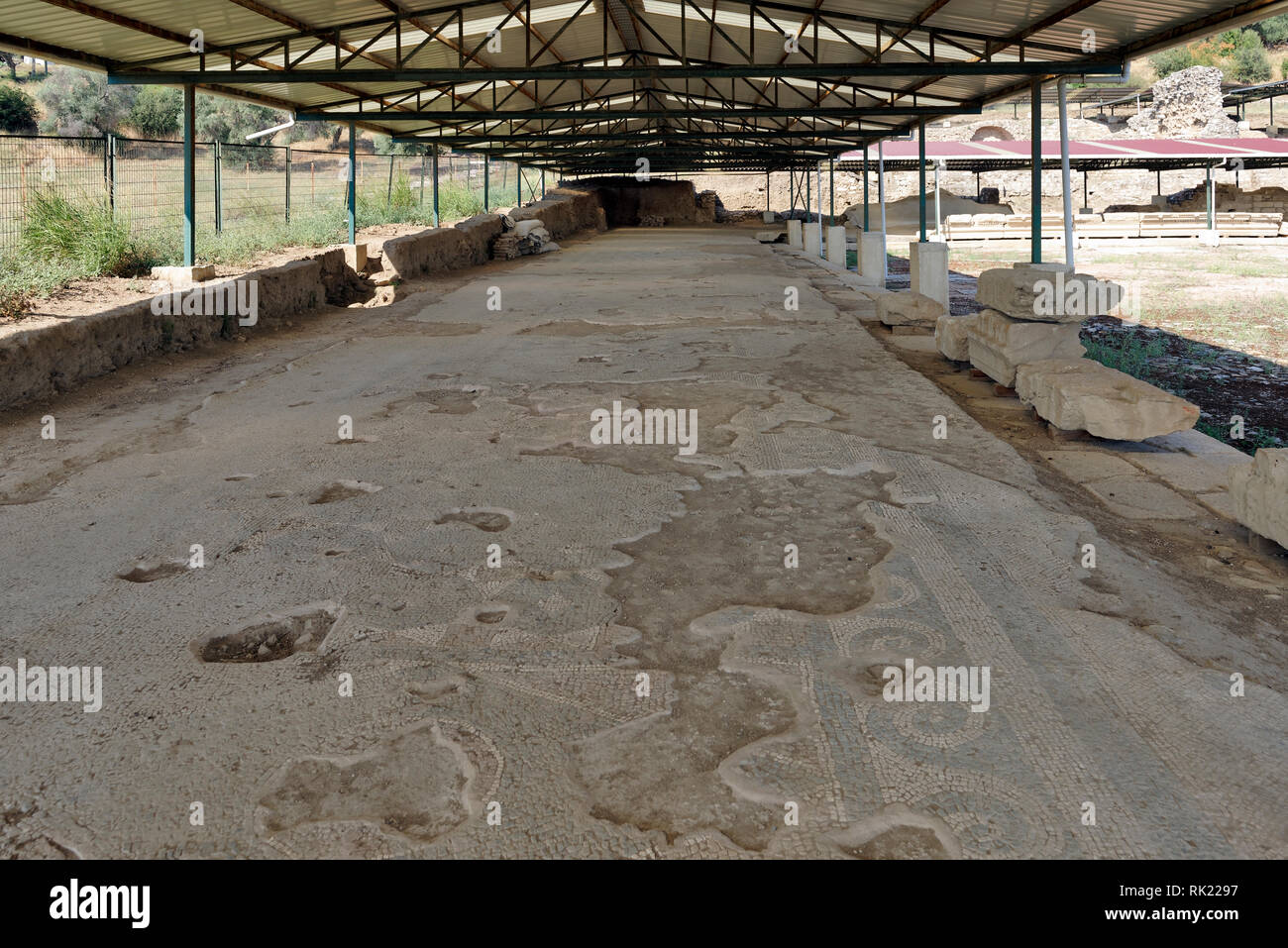 Paved geometric mosaics surround the Palestra, Roman Imperial Bath and ...