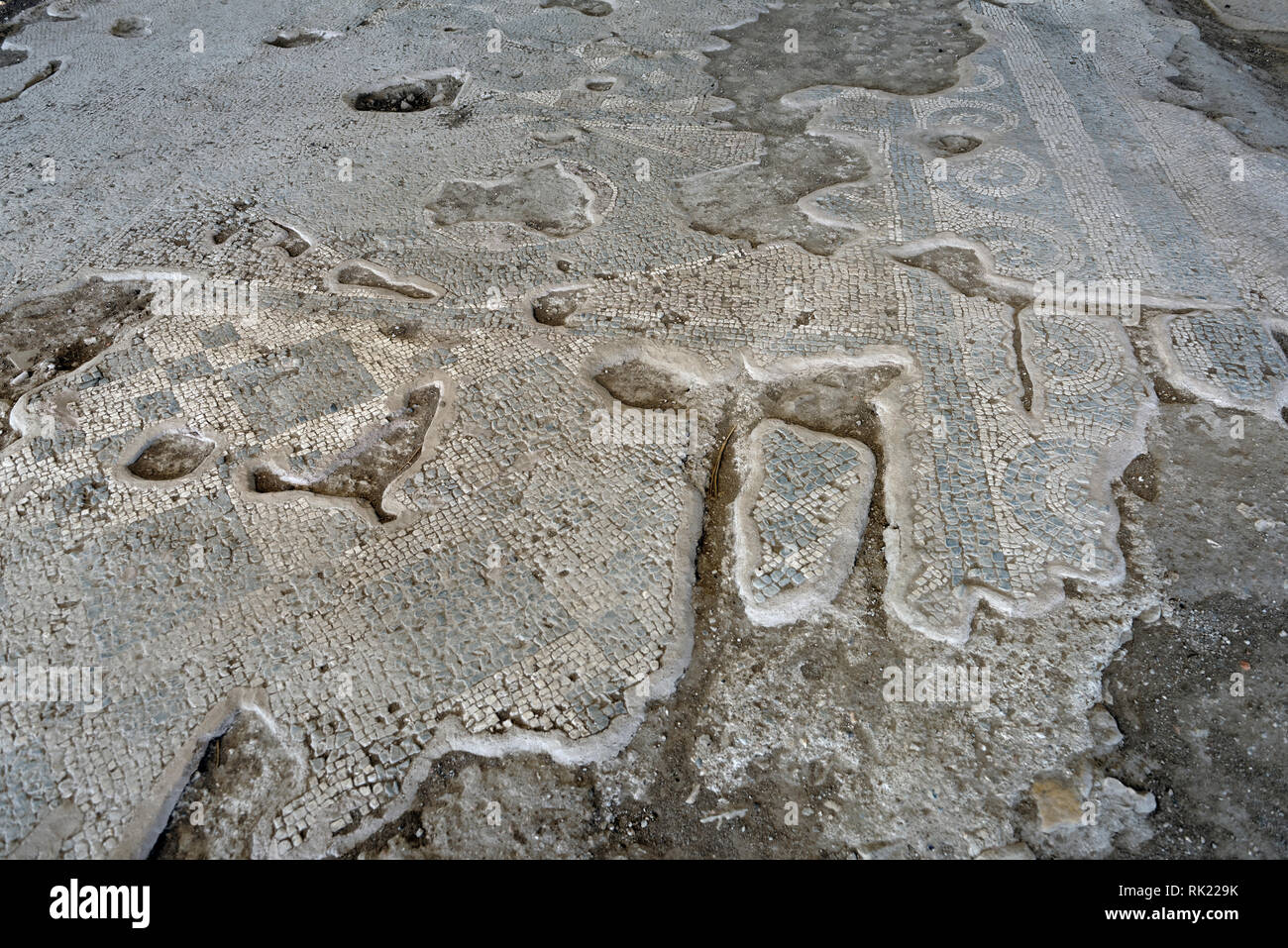 Paved geometric mosaics surround the Palestra, Roman Imperial Bath and ...