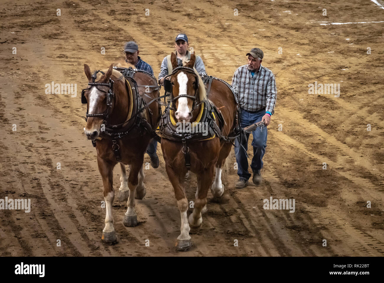 Pennsylvania farm show,, the largest indoor agricultural exposition ...
