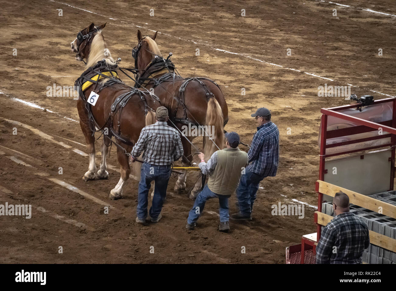 Pennsylvania farm show,, the largest indoor agricultural exposition ...