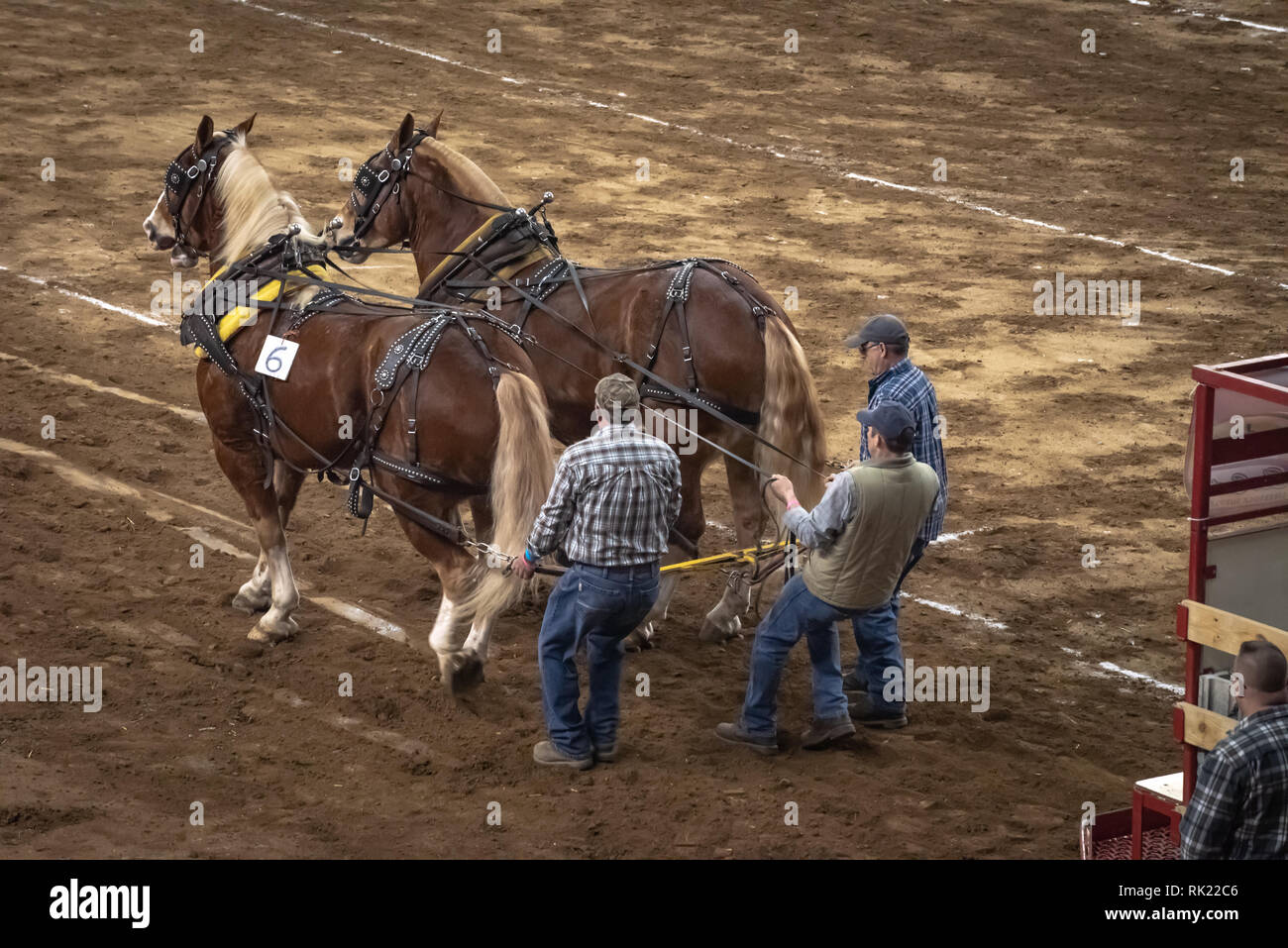 Pennsylvania farm show,, the largest indoor agricultural exposition ...
