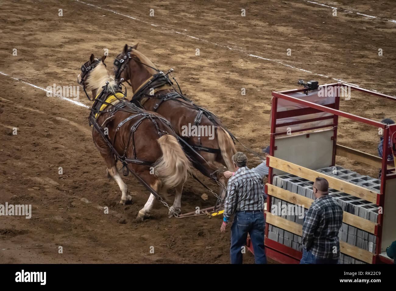 Pennsylvania farm show,, the largest indoor agricultural exposition ...
