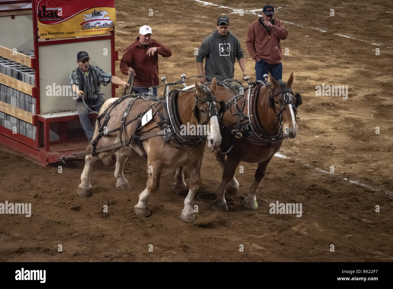 Pennsylvania farm show,, the largest indoor agricultural exposition ...