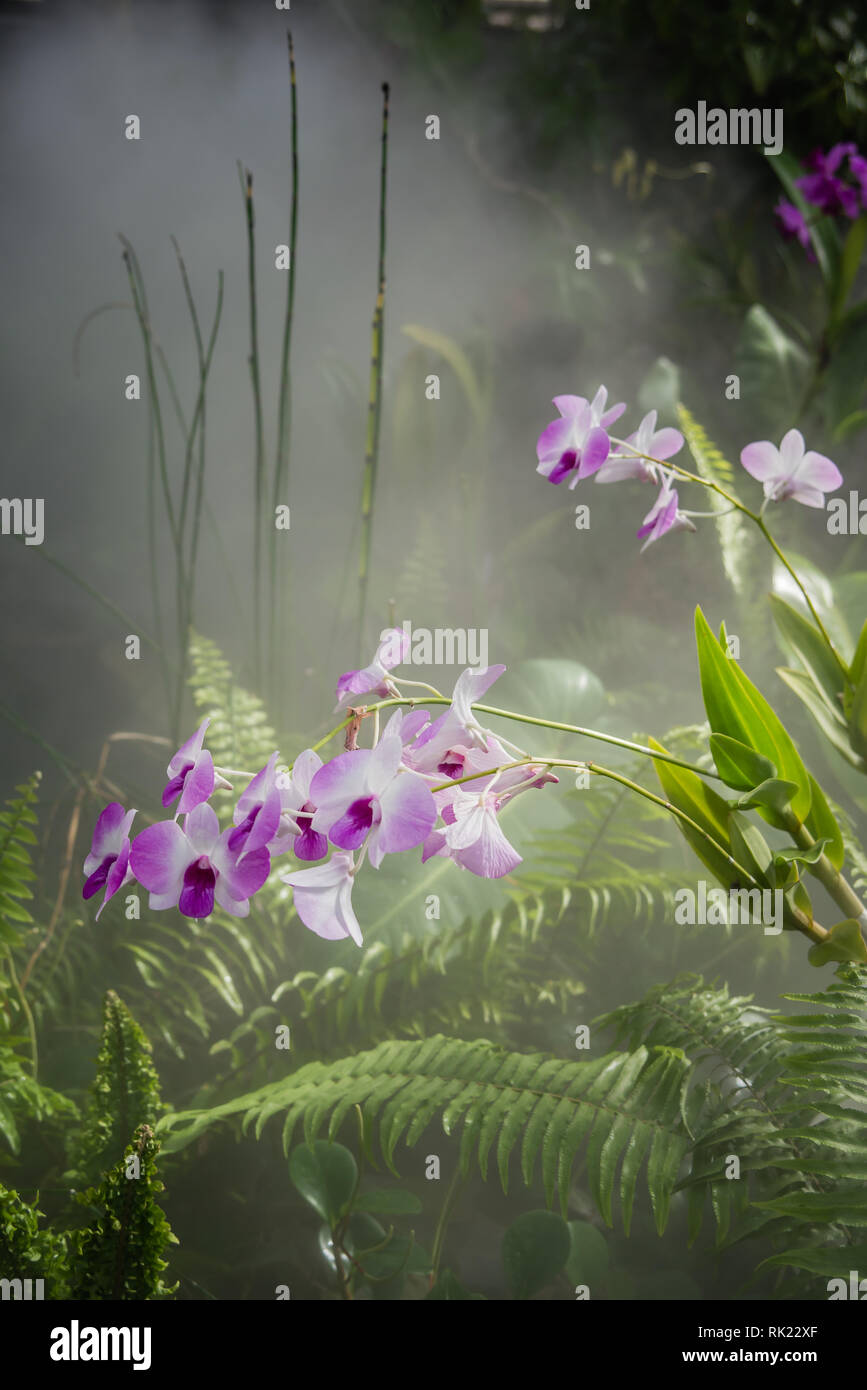 Landscape garden delights Stock Photo - Alamy