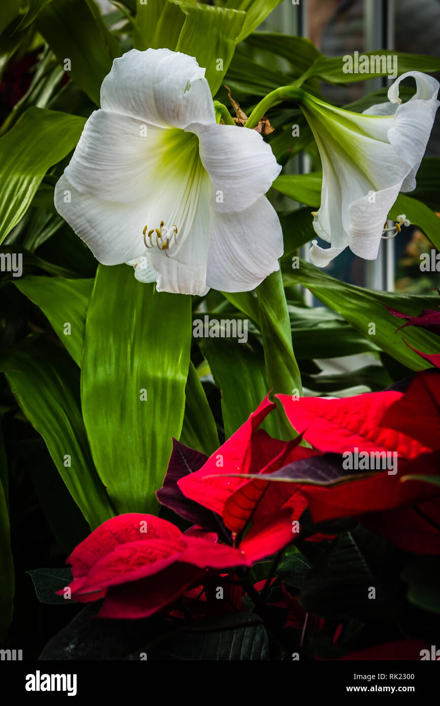 Landscape garden delights Stock Photo - Alamy