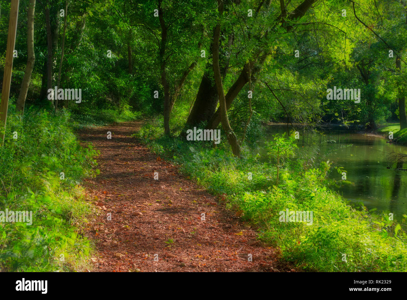 Natures beauty shines through a stream pathway Stock Photo - Alamy