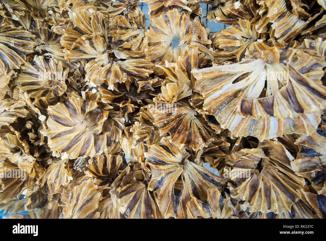 Dried fish in large quantities. Warehouse of dried fish on the market ...
