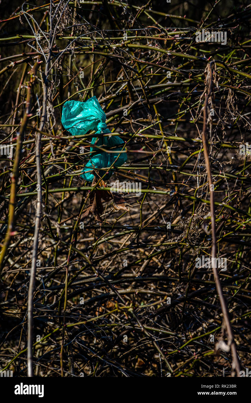 Natures beauty, stream walk area Stock Photo - Alamy