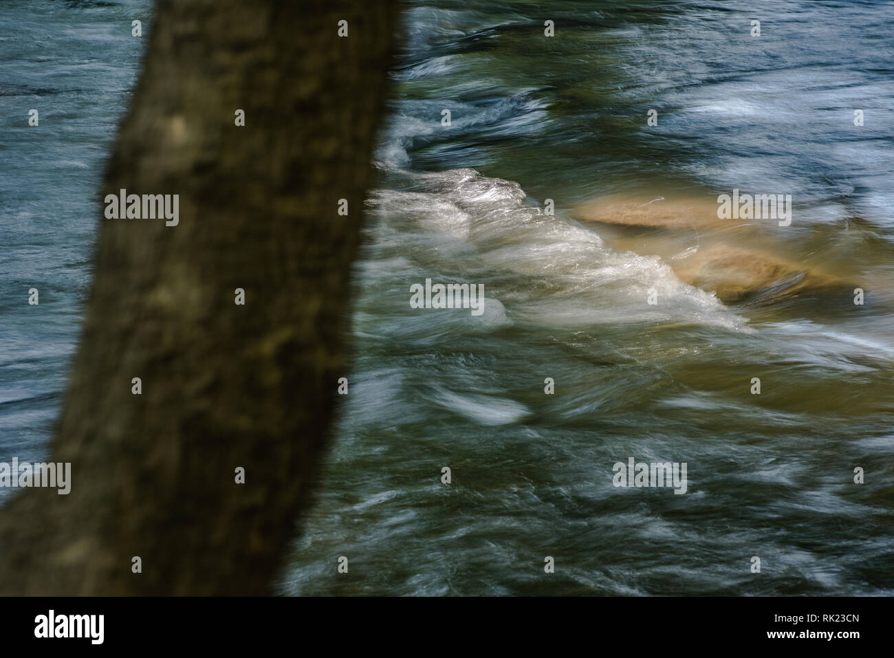 Nature stream walkway Stock Photo - Alamy